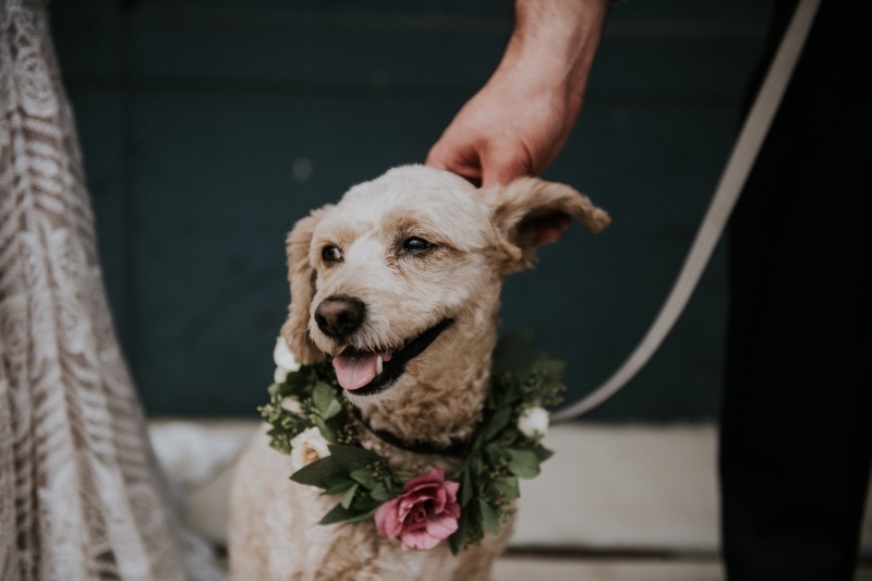 Wedding Photographers - Studio 29 Photography & Design | Wedding Chicks